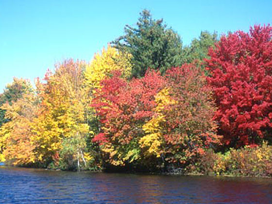 fall colors | The Outdoors Guy