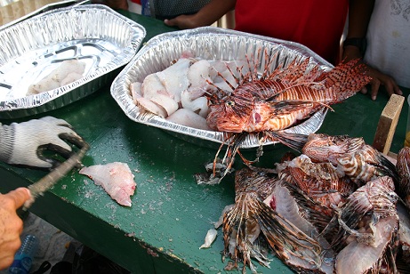 Lionfish Florida Keys | The Outdoors Guy